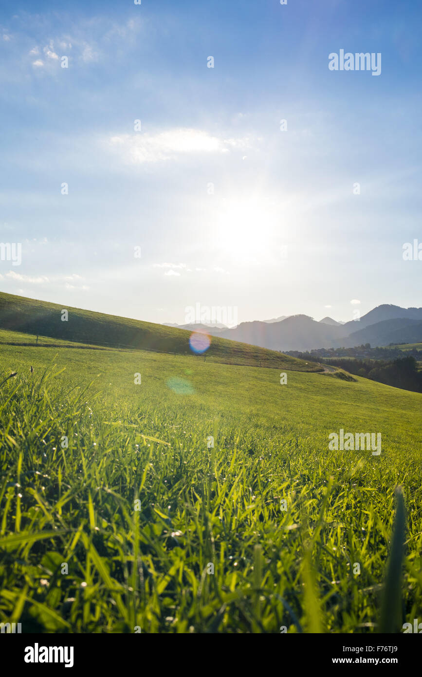 Styria, Austria, Thal Stock Photo - Alamy