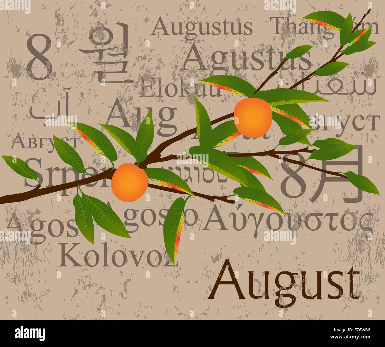 Months Concept August Stock Photo - Alamy