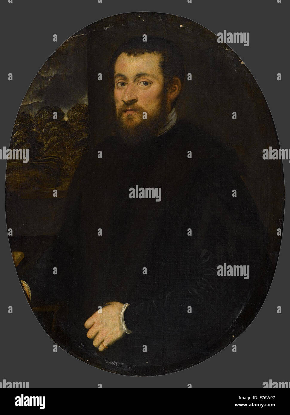 Jacopo Tintoretto - Portrait of a Gentleman before an Open Window Stock ...
