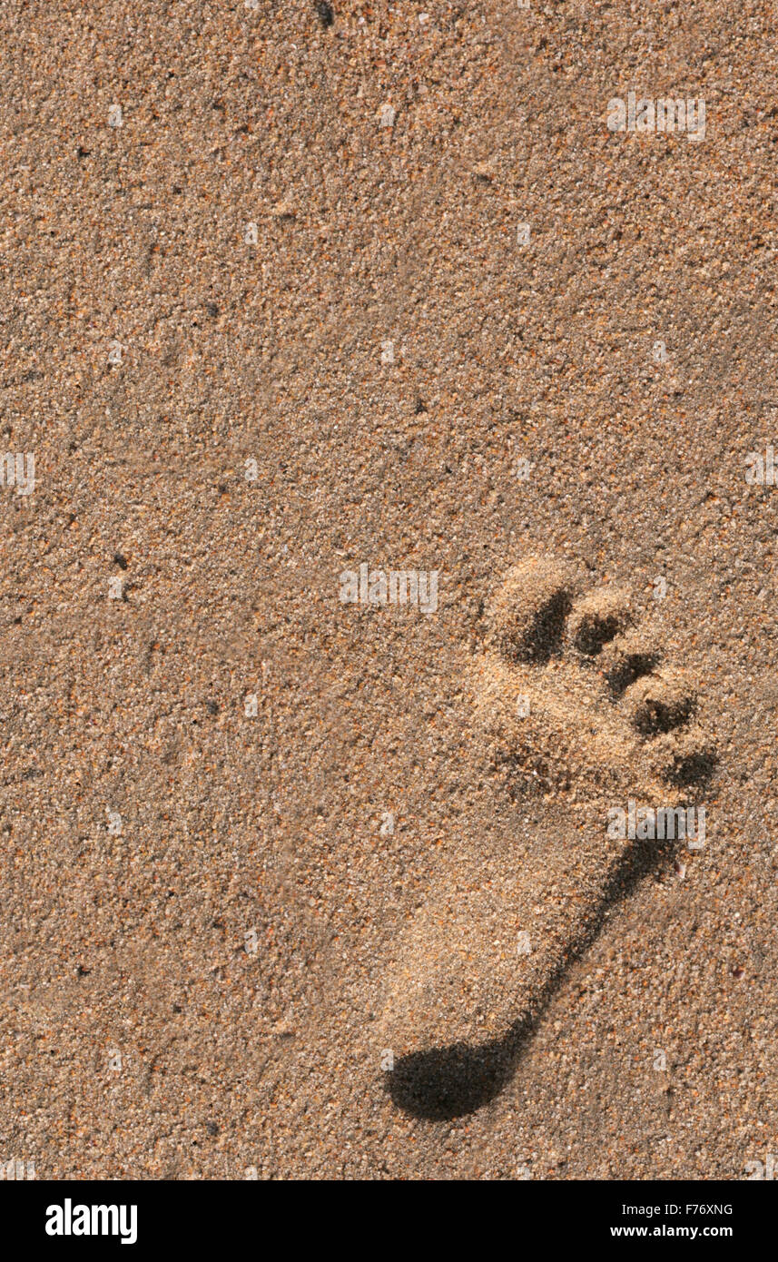 Single Footprint of a Child Stock Photo - Alamy