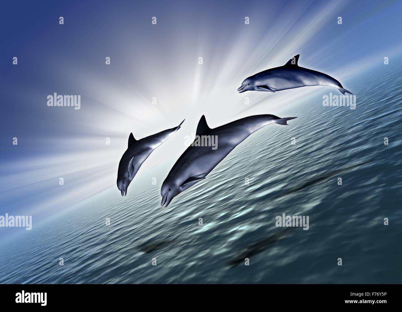 Three dolphin diagonal Stock Photo - Alamy