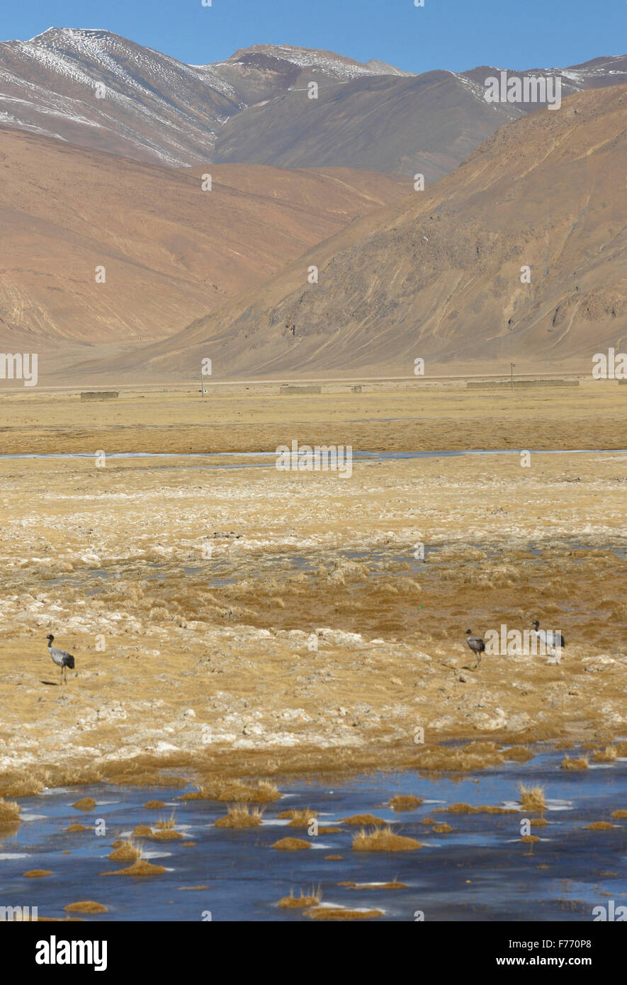 Tingri county hi-res stock photography and images - Alamy