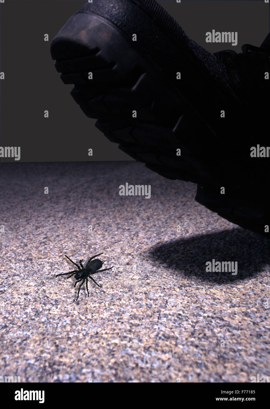Spider boot hi-res stock photography and images - Alamy