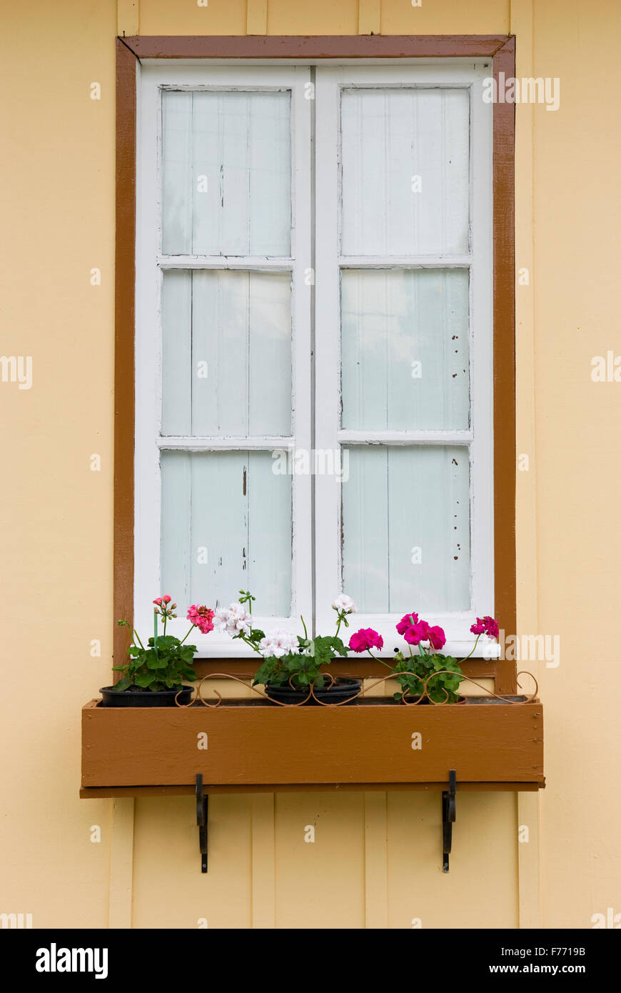 Window with flowerbed Stock Photo - Alamy