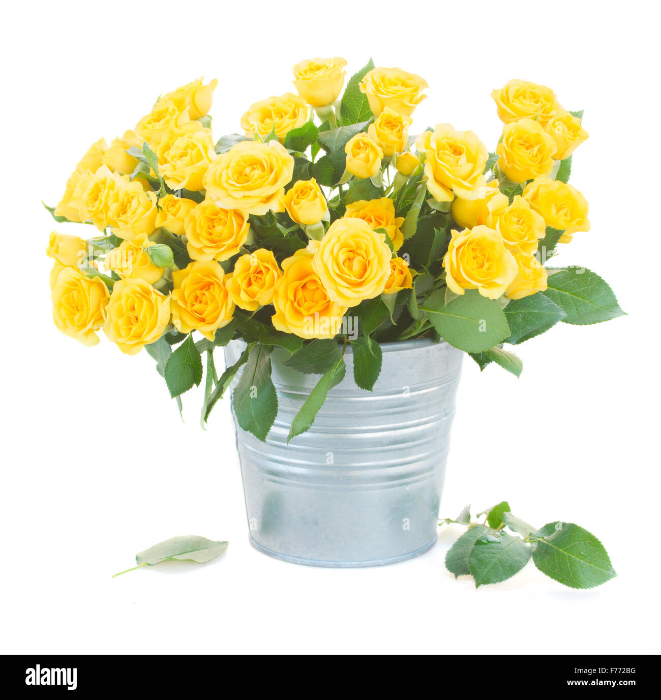 bouquet of fresh roses Stock Photo - Alamy