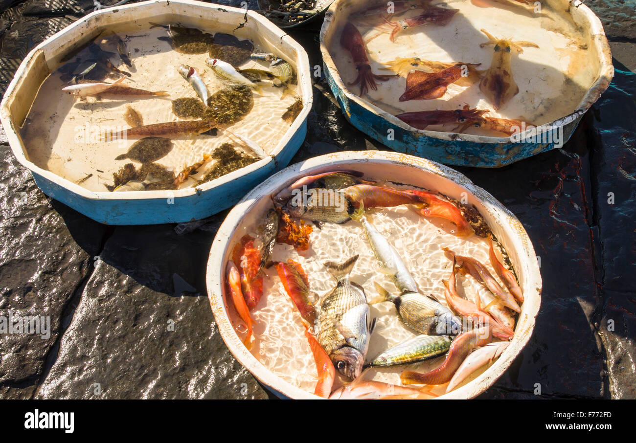 Typical outdoor Italian fish market with fresh fish and seafood Stock ...
