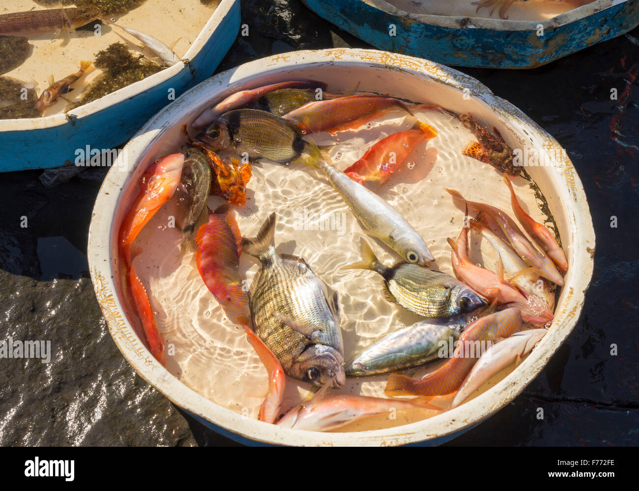 Typical outdoor Italian fish market with fresh fish and seafood Stock ...