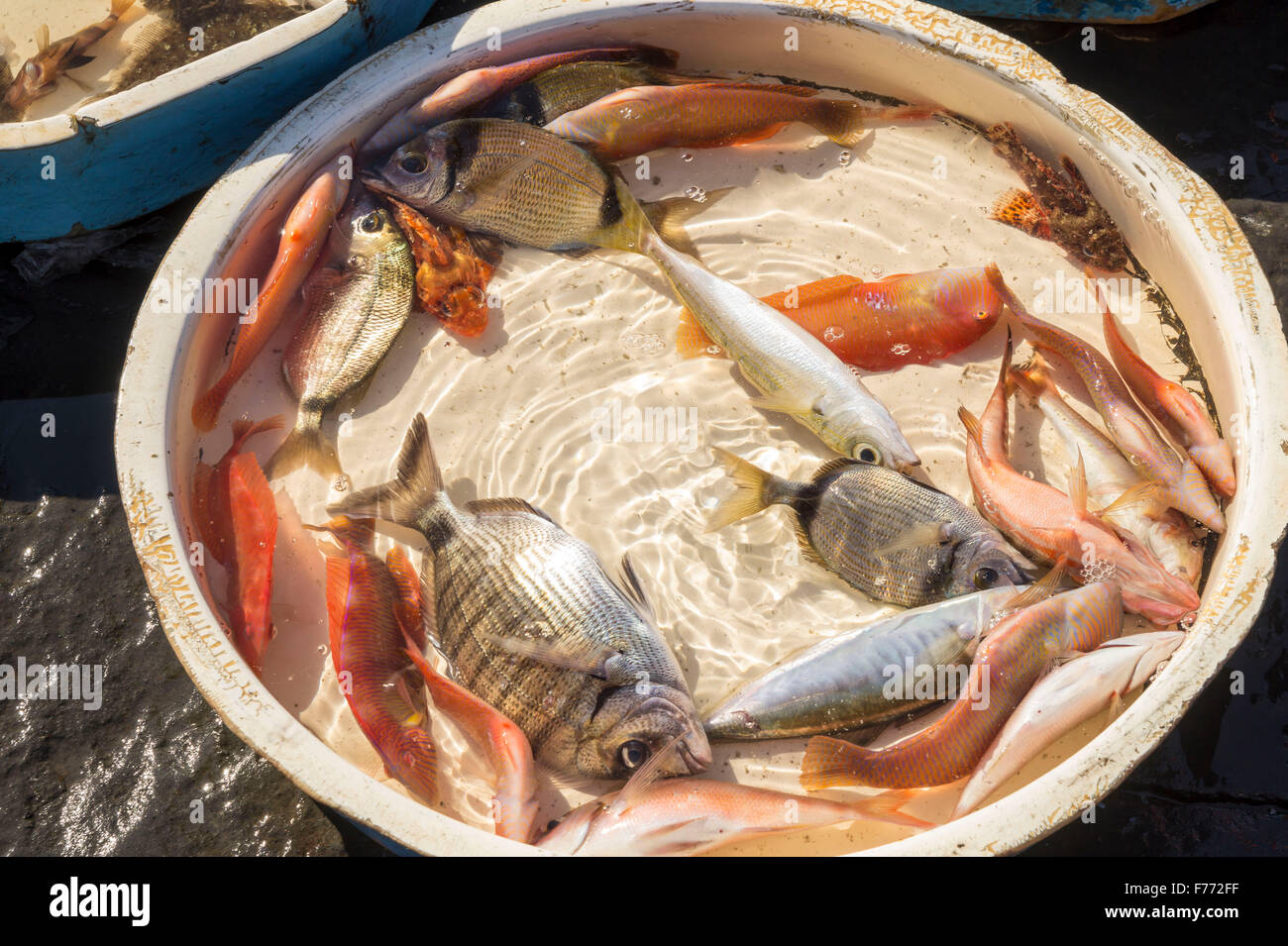 Typical outdoor italian fish market hi-res stock photography and images ...