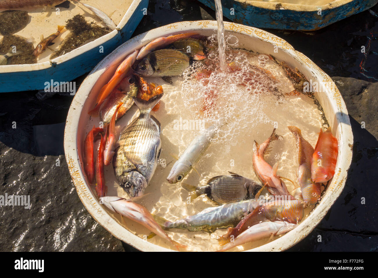 Typical outdoor italian fish market hi-res stock photography and images ...