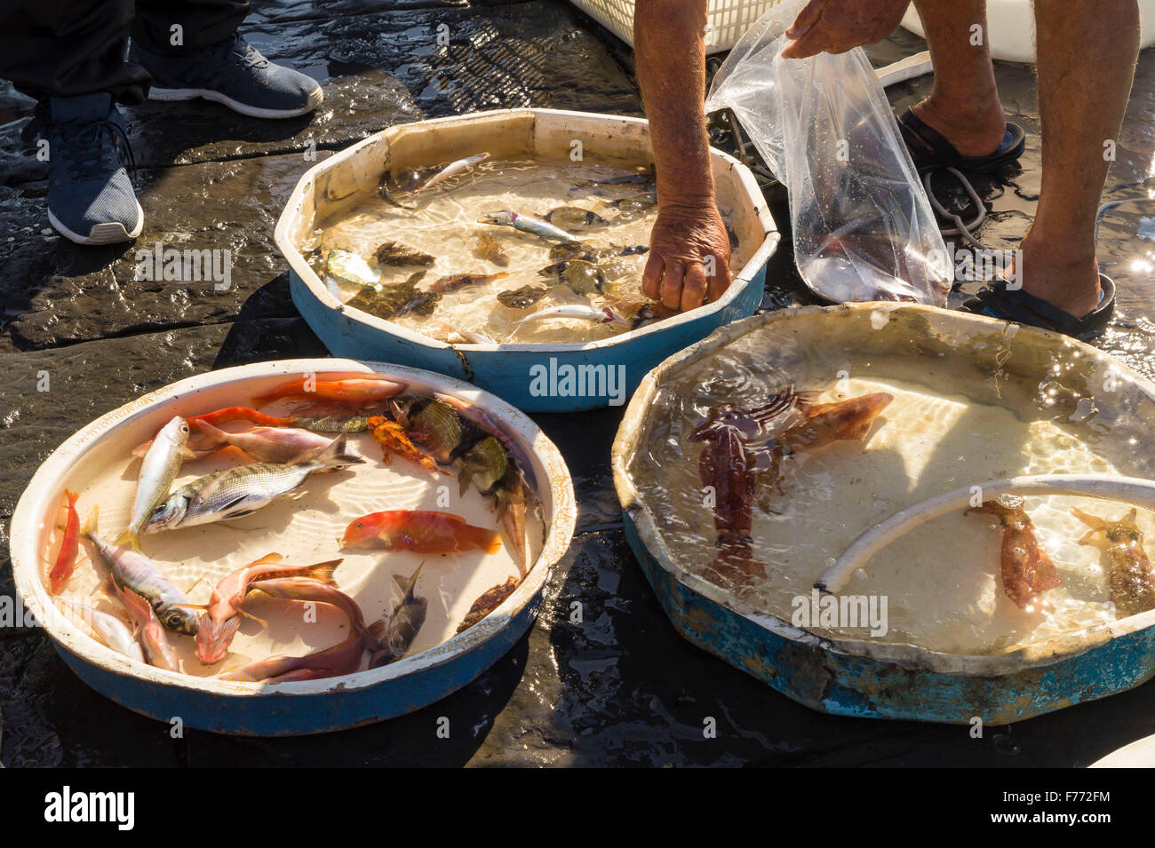 Typical outdoor Italian fish market with fresh fish and seafood Stock ...