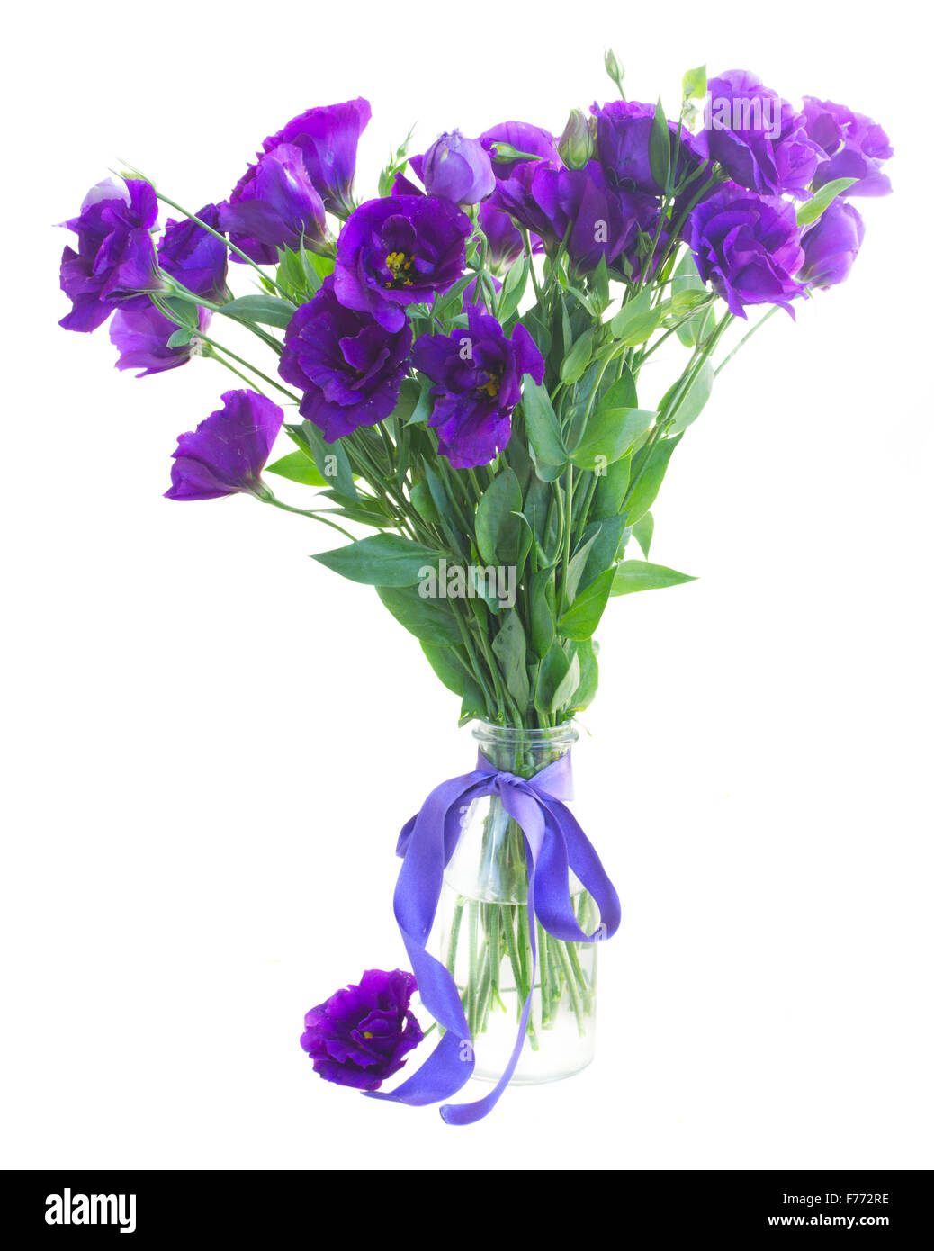bouquet of violet eustoma flowers Stock Photo - Alamy