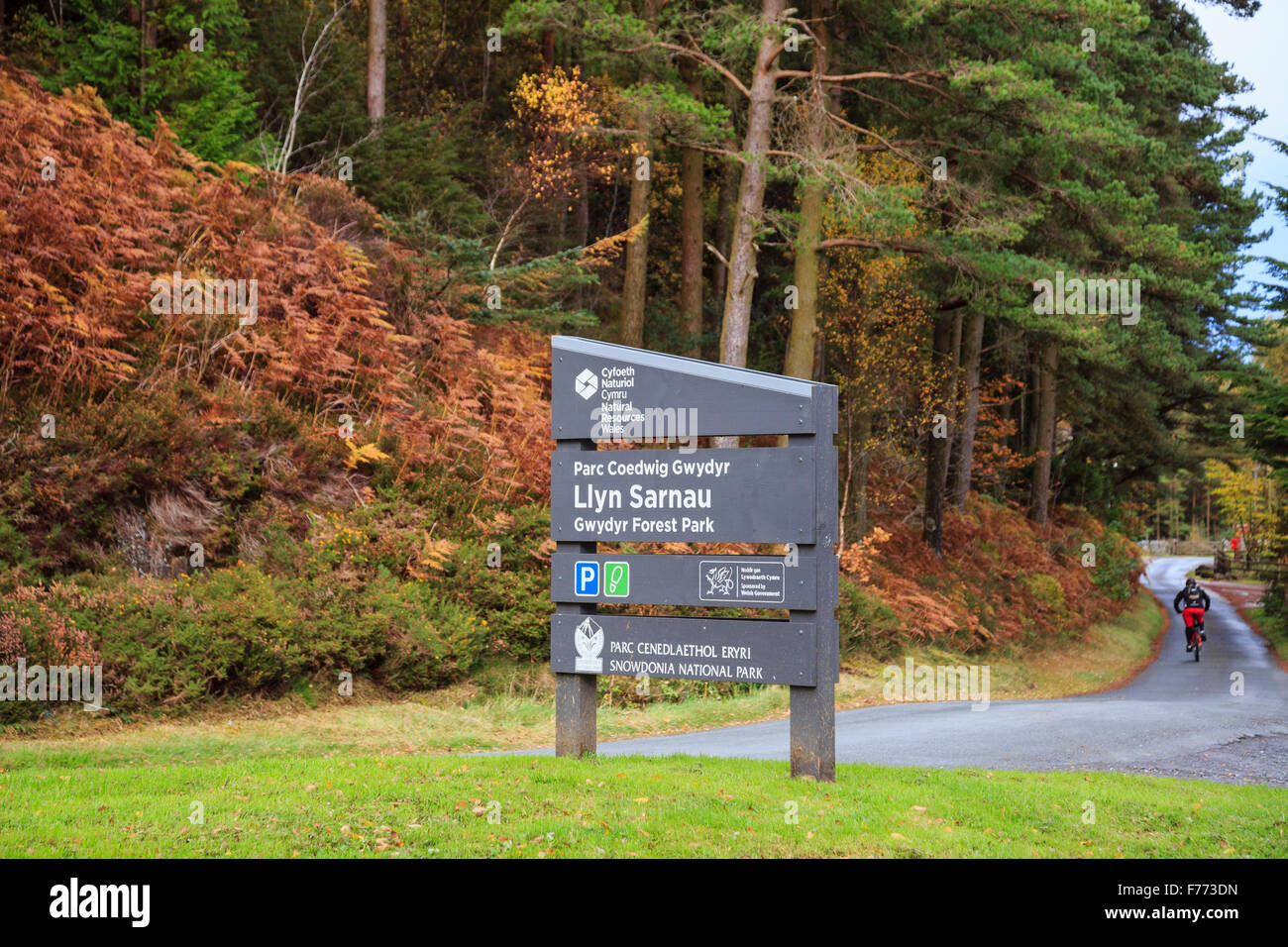 Llyn Sarnau sign by carpark on country lane in Gwydyr Forest Park in ...