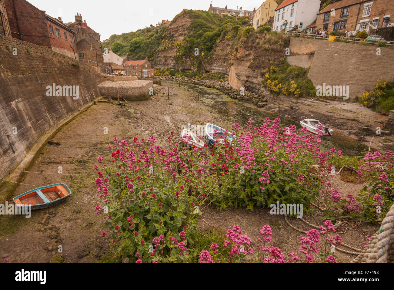 Picturesque view of the coastal village of Staithes, North Yorkshire ...