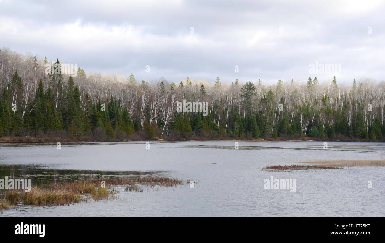 Autumn colours in Quebec forests, Canada Stock Photo - Alamy
