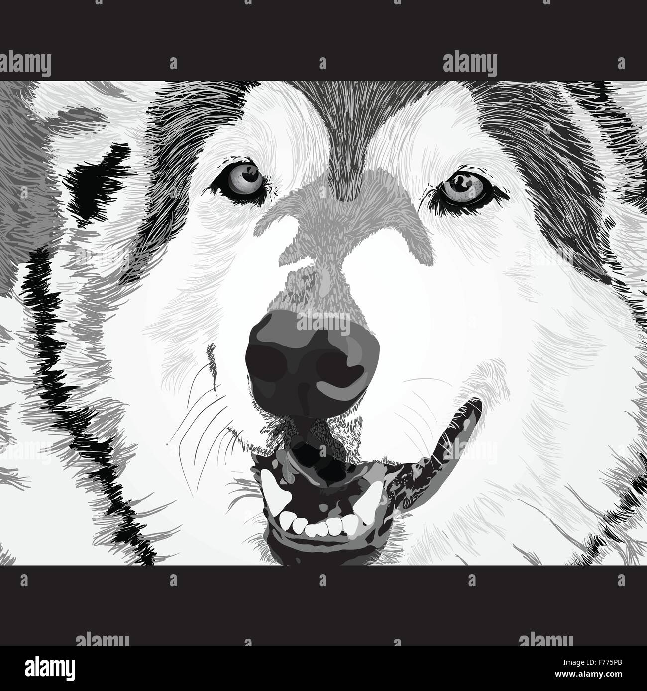Angry wolf face Stock Vector Image & Art - Alamy