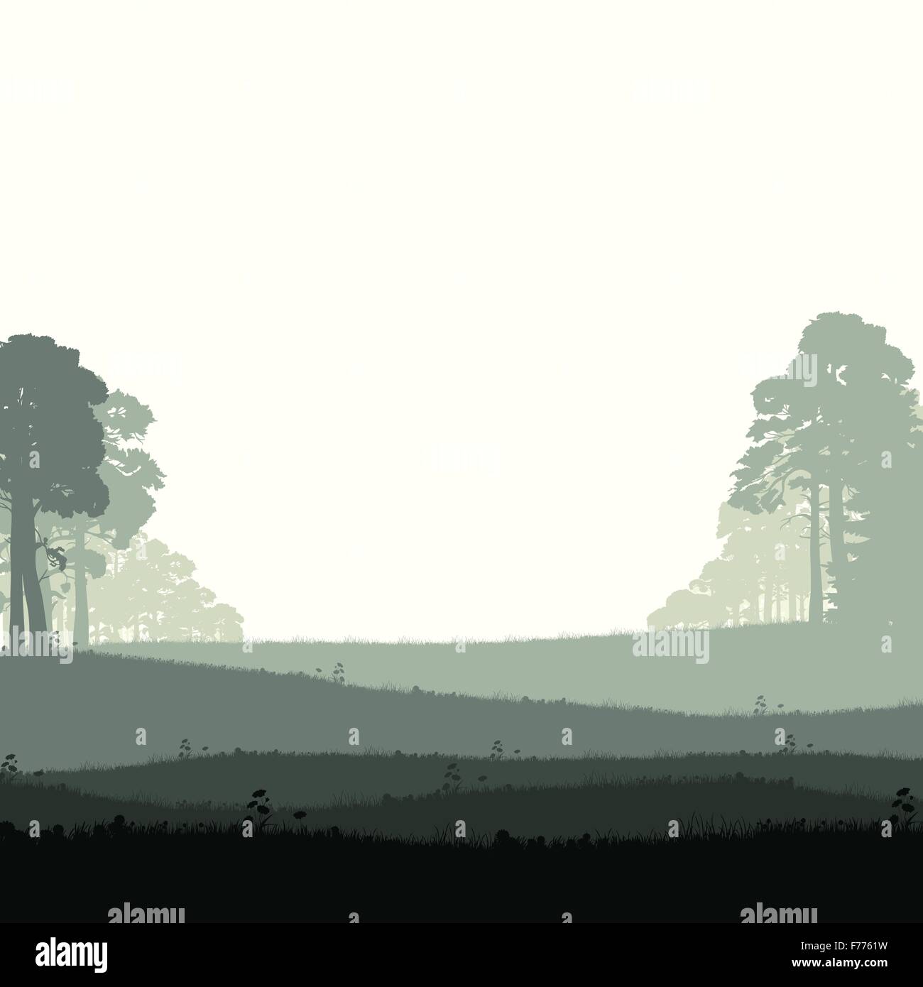 Coniferous trees in mist Stock Vector Images - Alamy