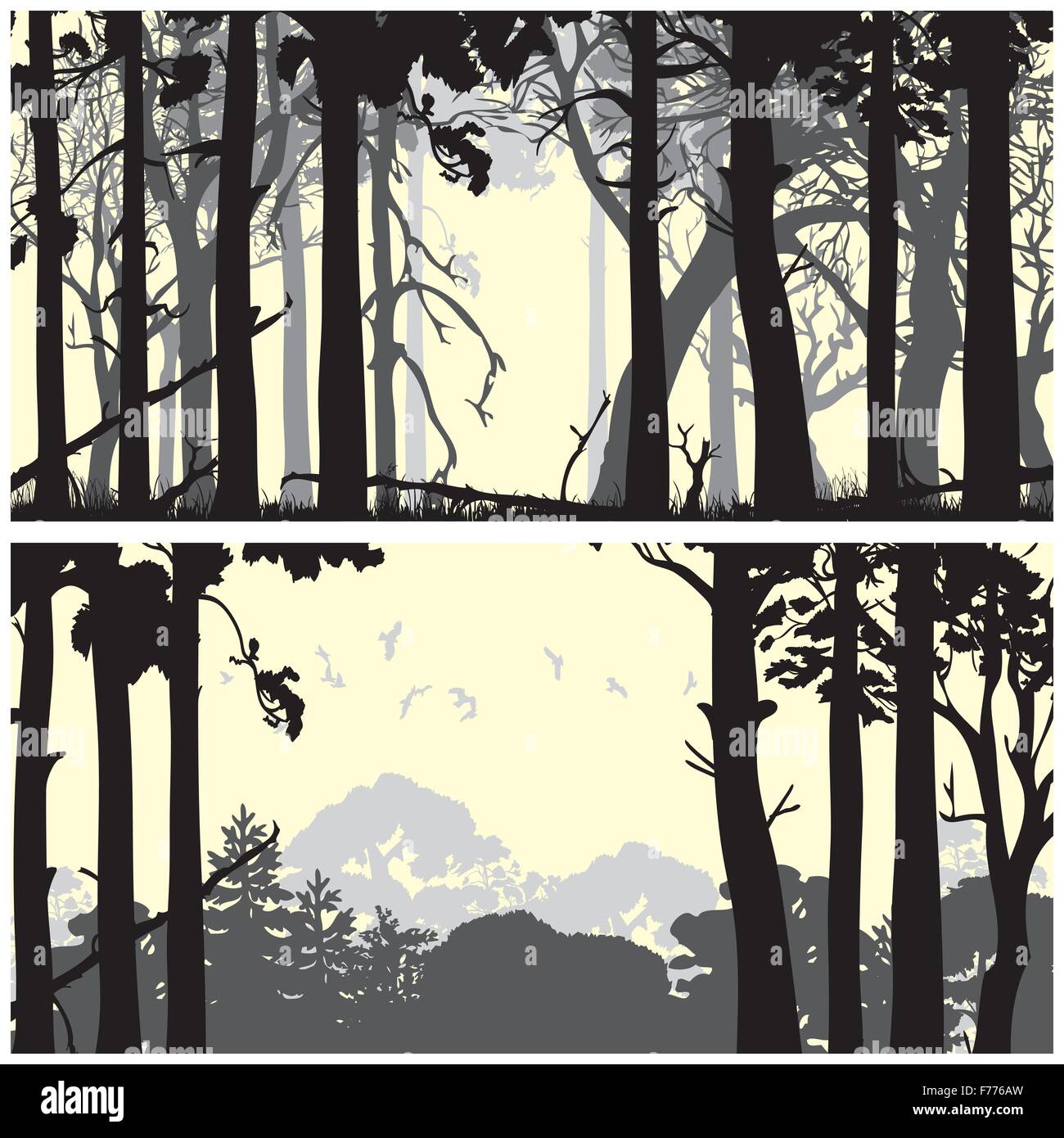 Wild coniferous forest Stock Vector Image & Art - Alamy