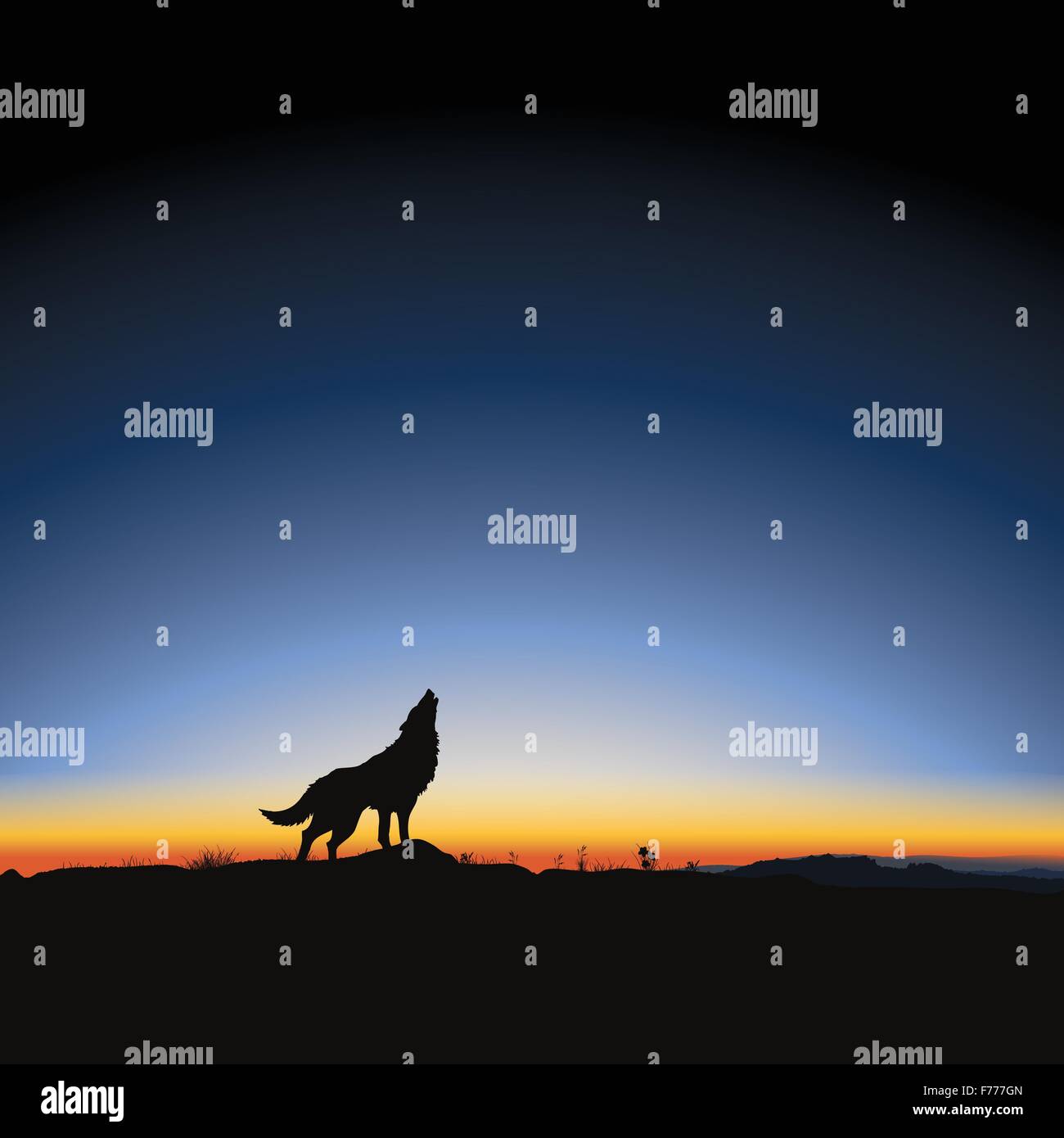Summertime wolf Stock Vector Images - Alamy