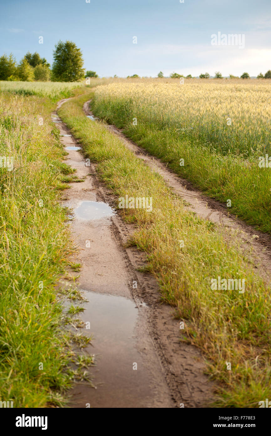 Rain puddles hi-res stock photography and images - Alamy
