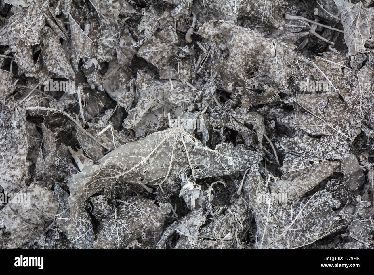 Ashes texture hi-res stock photography and images - Alamy