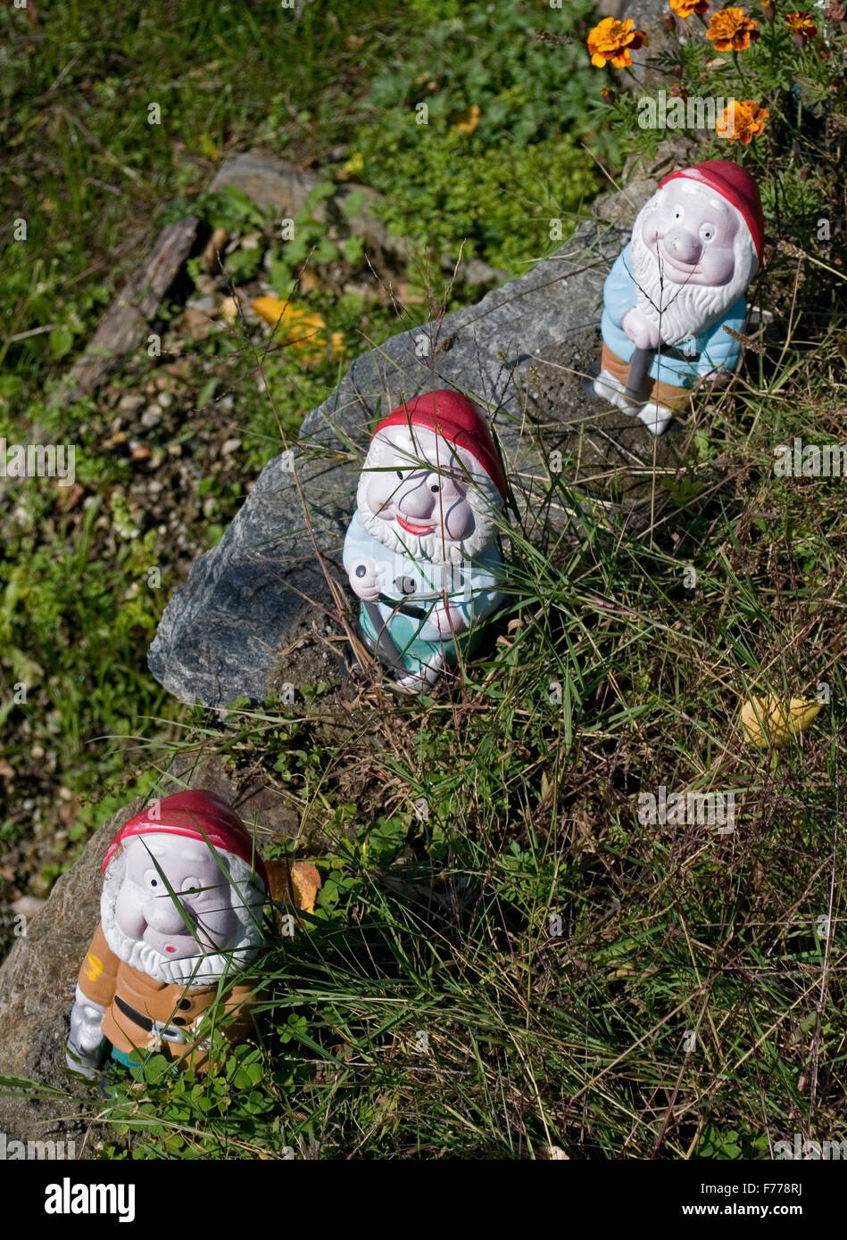 three garden gnomes Stock Photo - Alamy