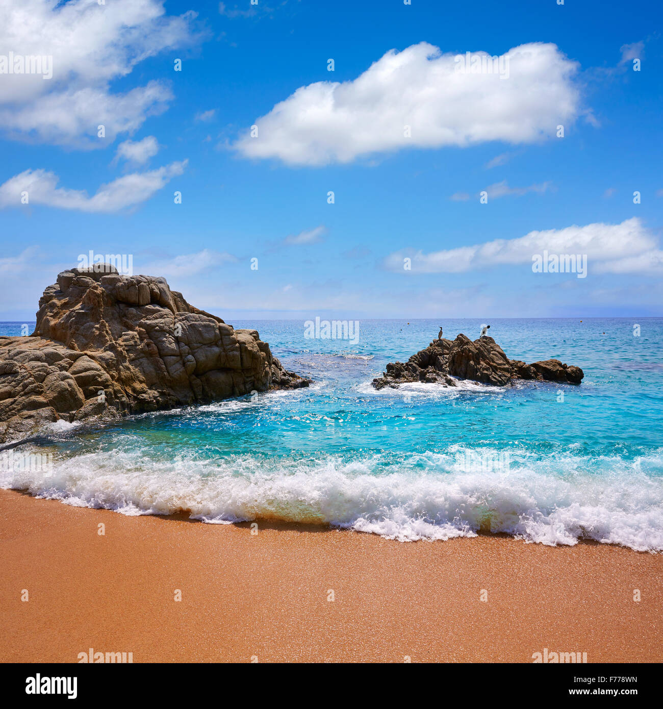 Cala Sa Boadella platja beach in Lloret de Mar of Costa Brava at ...