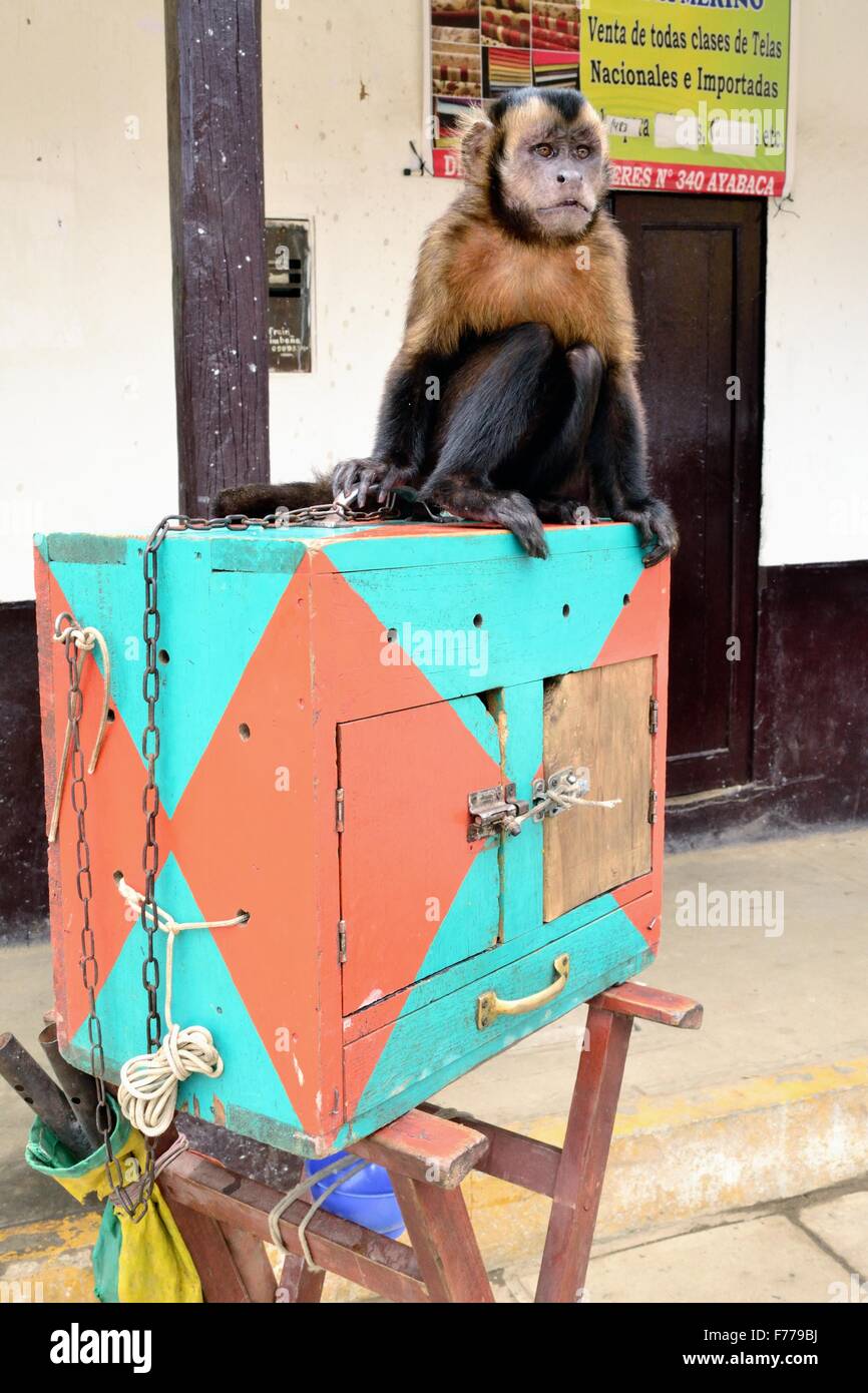 Monkey game - Plaza de Armas in AYABACA . Department of Piura .PERU ...