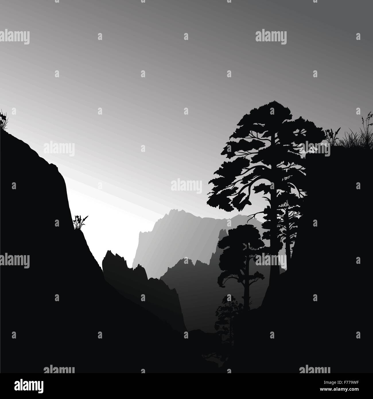 Coniferous forest dark green Stock Vector Images - Alamy