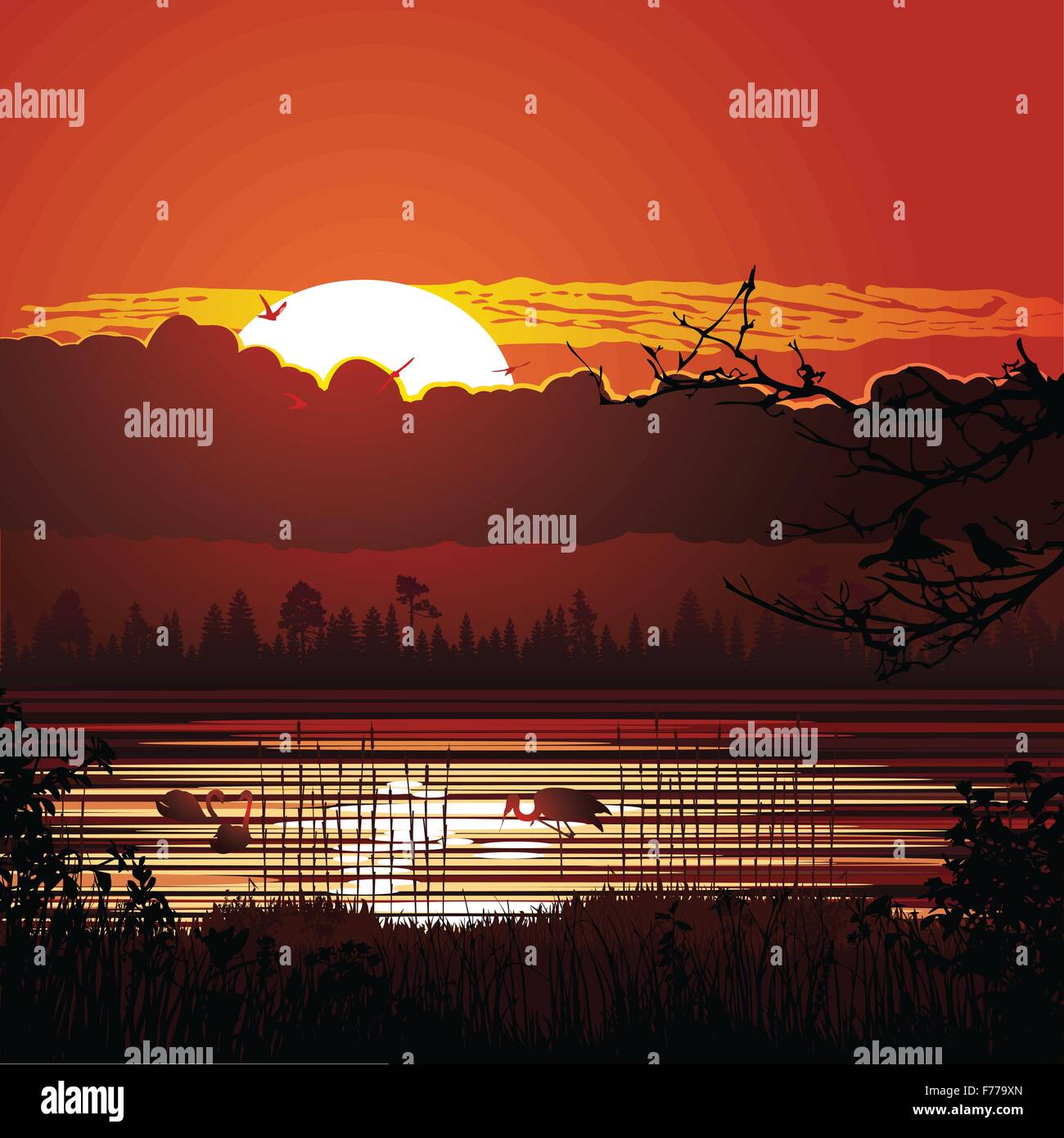 Nature sunset background Stock Vector Image & Art - Alamy