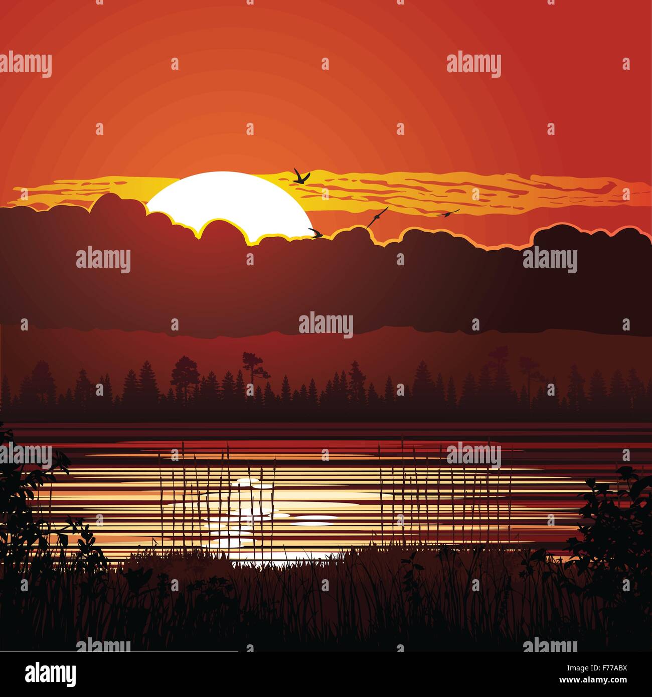 Beautiful sunset on background sun Stock Vector Images - Alamy