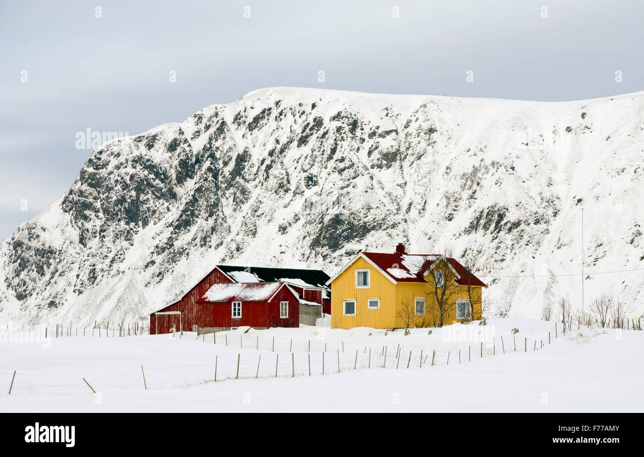 House on Lofoten Islands Stock Photo - Alamy