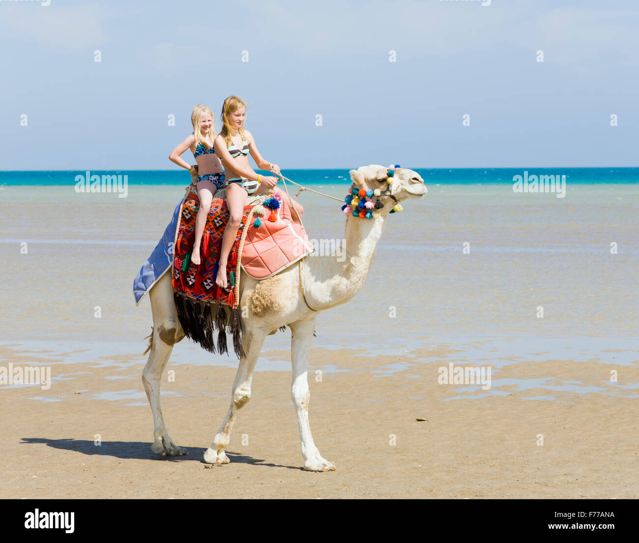 Riding a camel tourists hi-res stock photography and images - Alamy