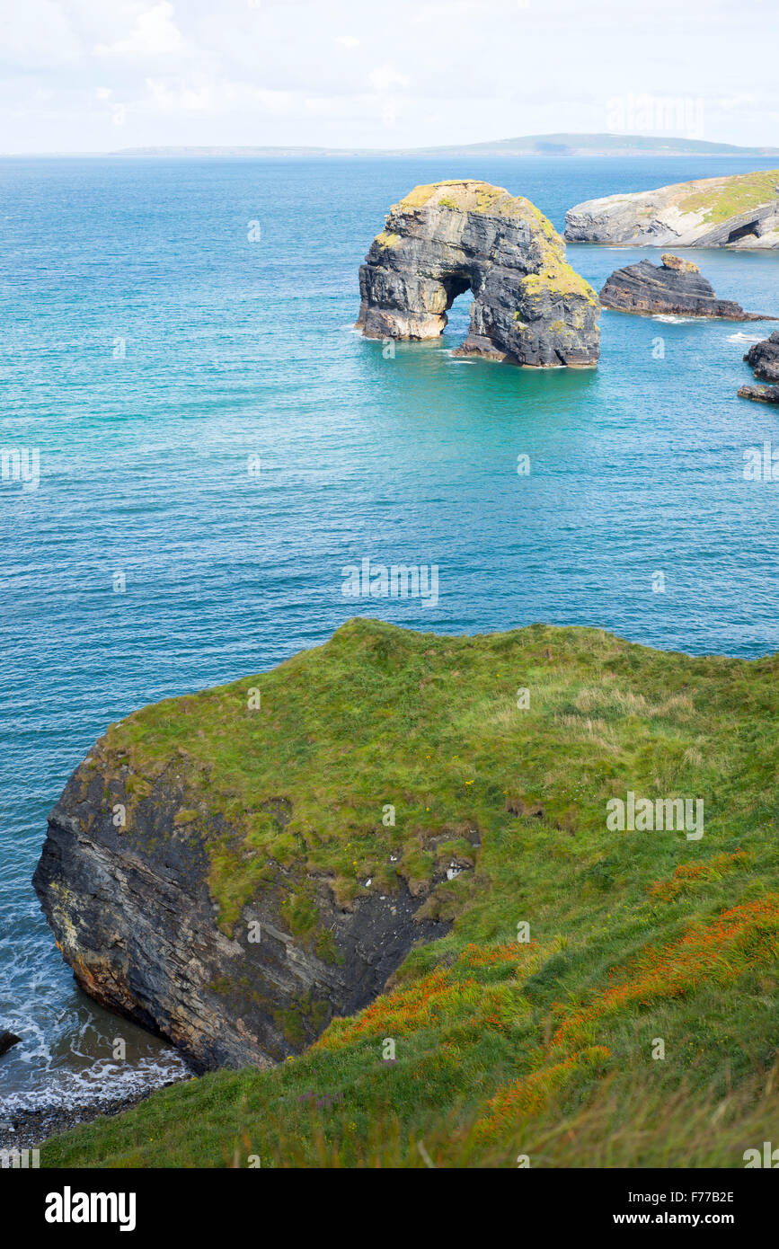 beautiful views of the virgin rocks with wild tall grass on the wild ...