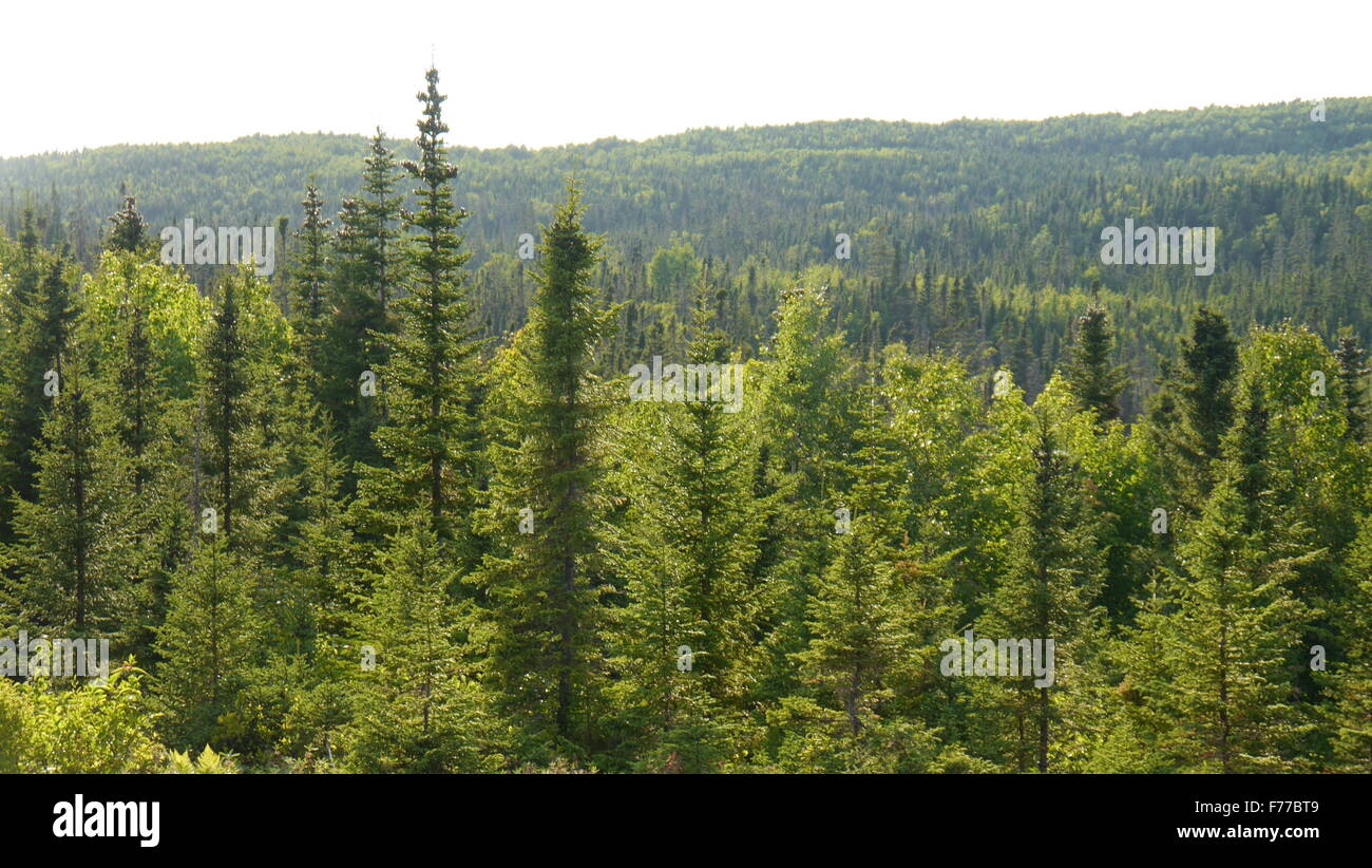 Canadian wilderness hi-res stock photography and images - Alamy