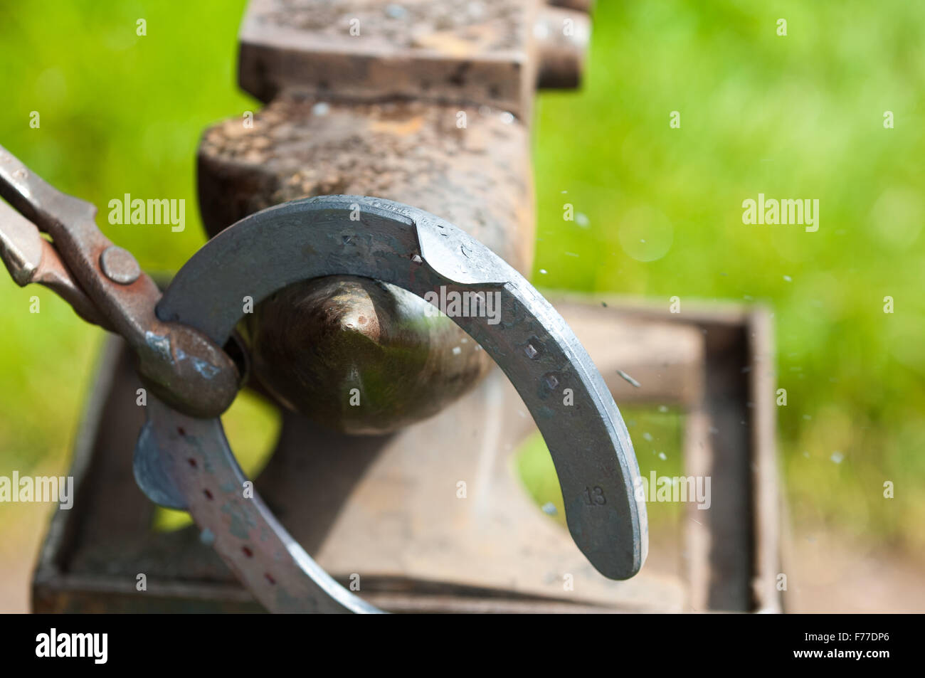 Farrier adjusting horseshoe prior to fitting Stock Photo - Alamy