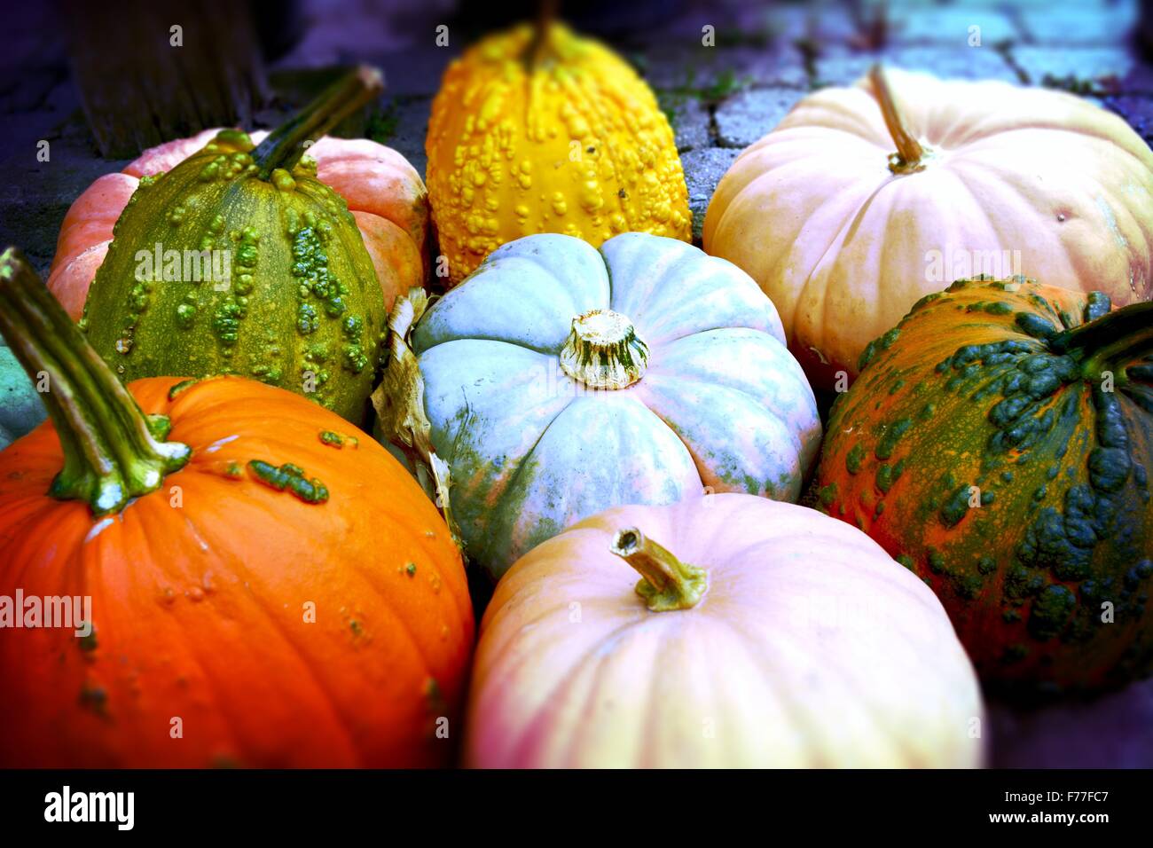 Multi colored pumpkins hi-res stock photography and images - Alamy