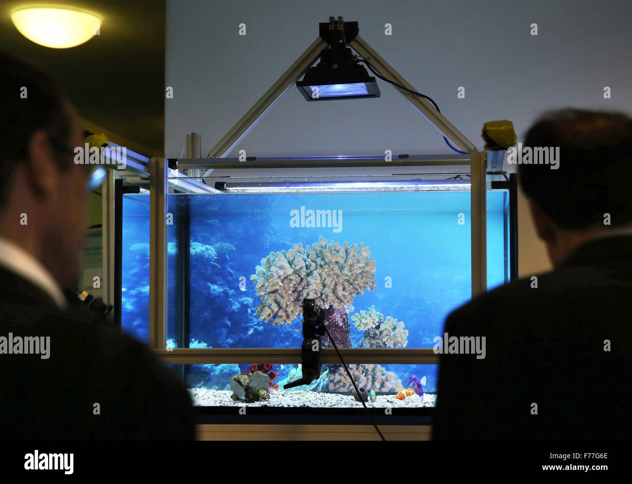 Fish processing center hi-res stock photography and images - Alamy