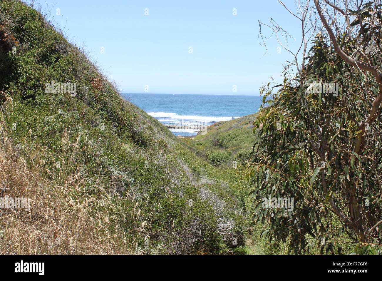 Big waves from pacific ocean hi-res stock photography and images - Alamy