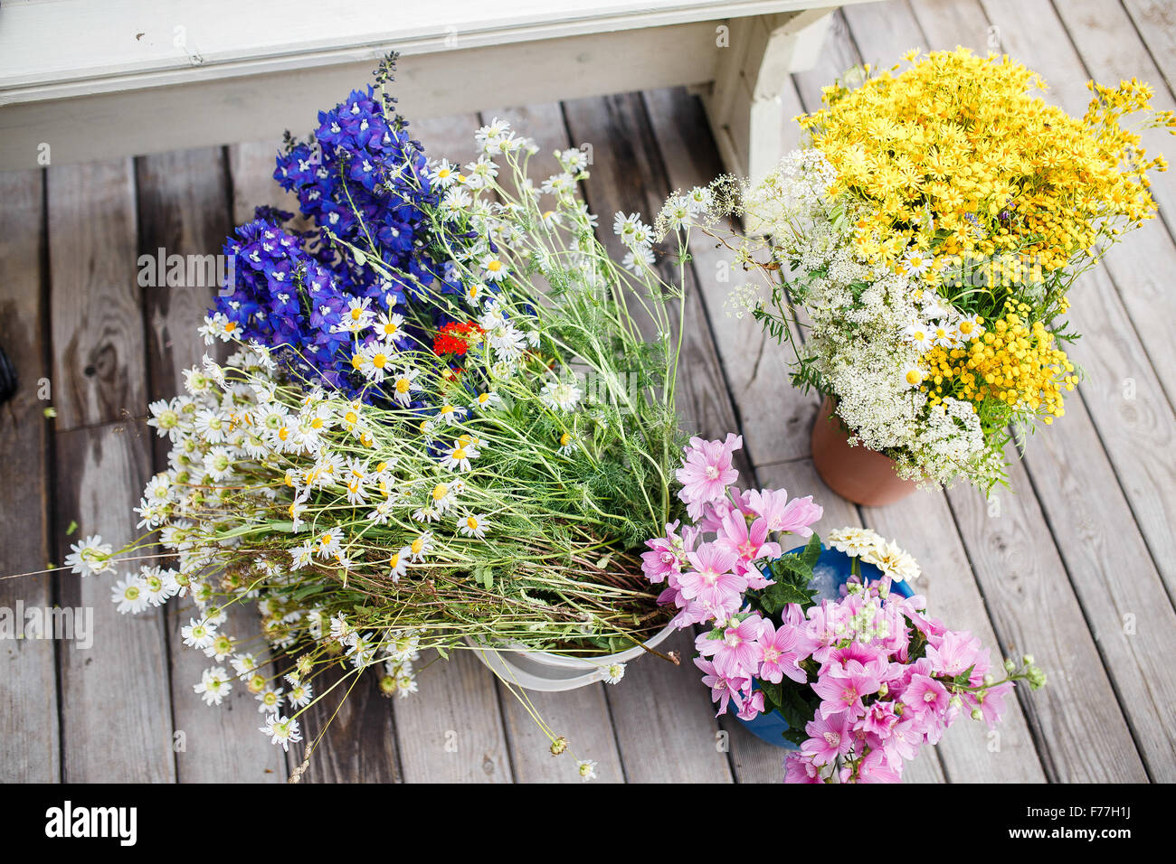 wildflowers in bouquets. flowers gathered in bunches on the field in ...