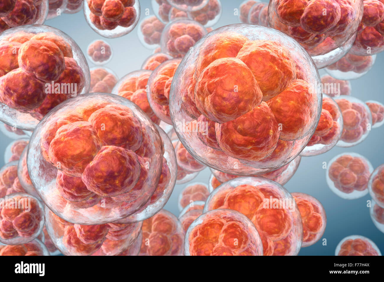 Abstract cells in division phase Stock Photo - Alamy