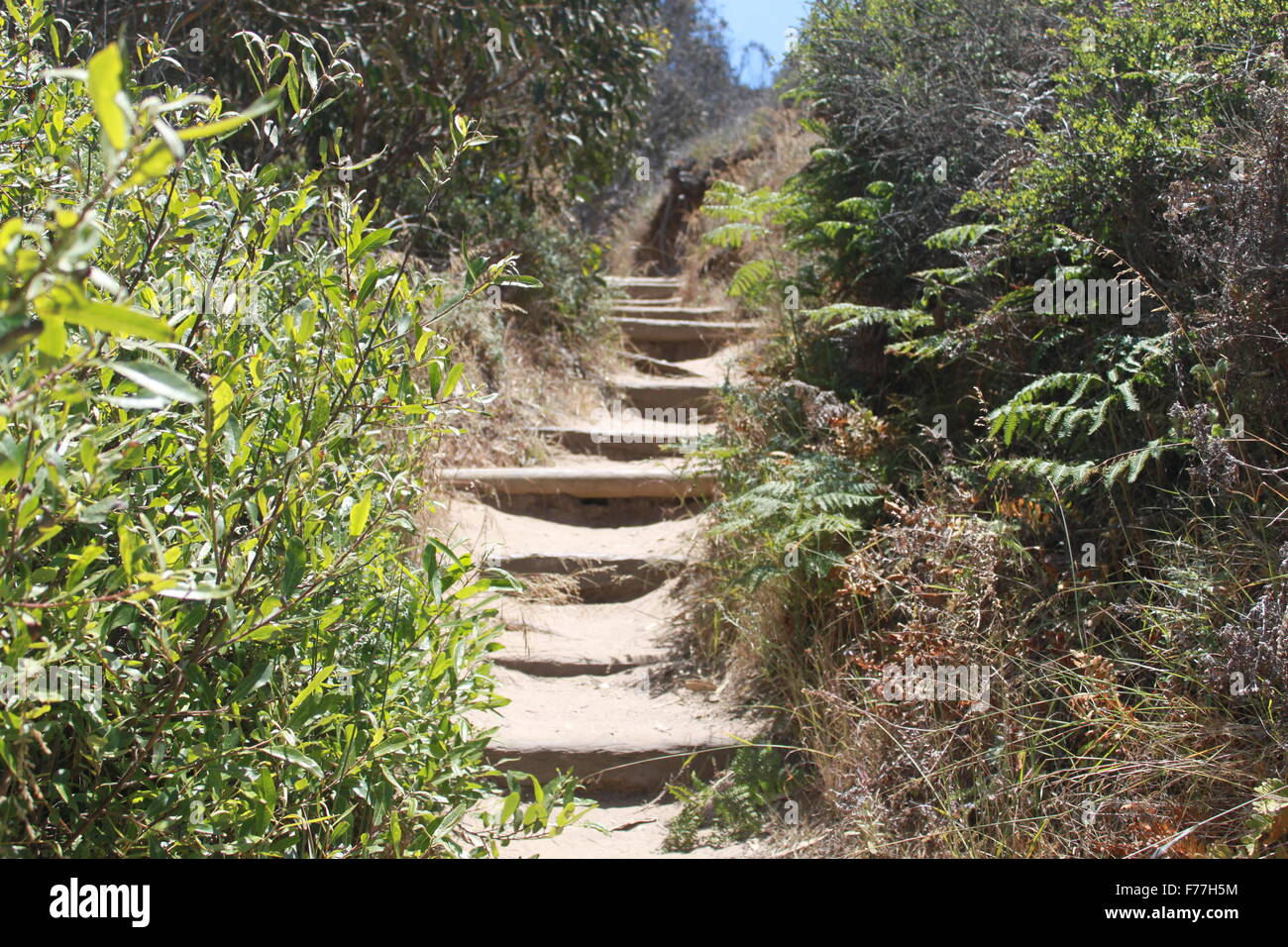 Steps leading down to the beach Stock Photo - Alamy