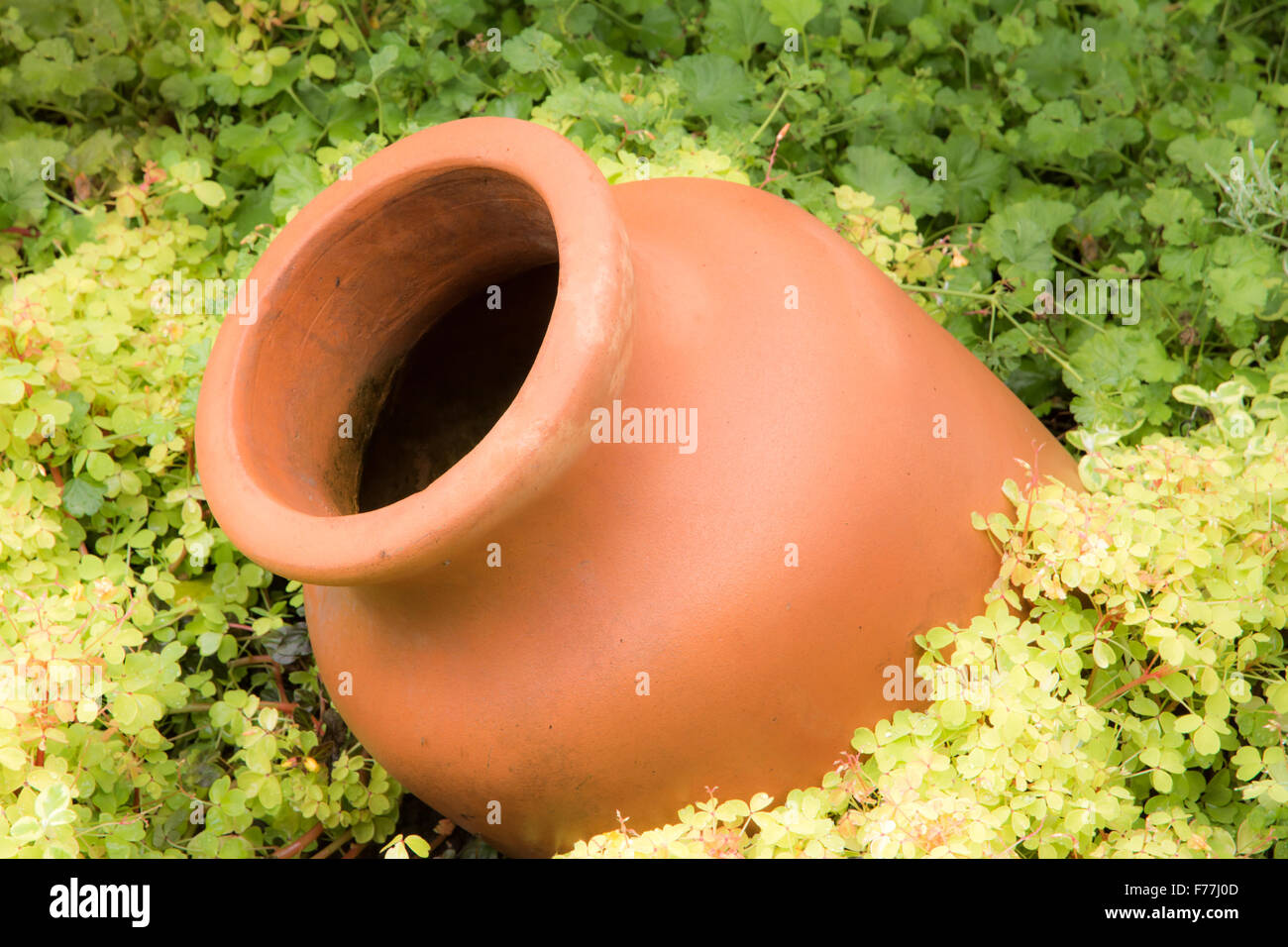 Decorative antique Amphora in the garden Stock Photo - Alamy