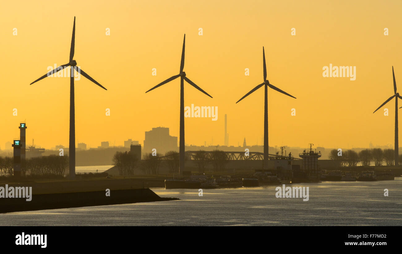 North Sea, Windmills, wind farm in Rotterdam harbour at sunrise Stock ...