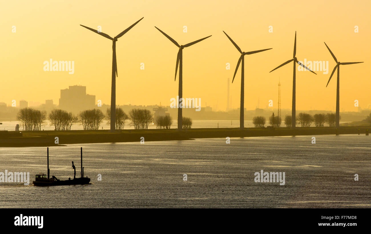 North Sea, Windmills, wind farm in Rotterdam harbour at sunrise with ...