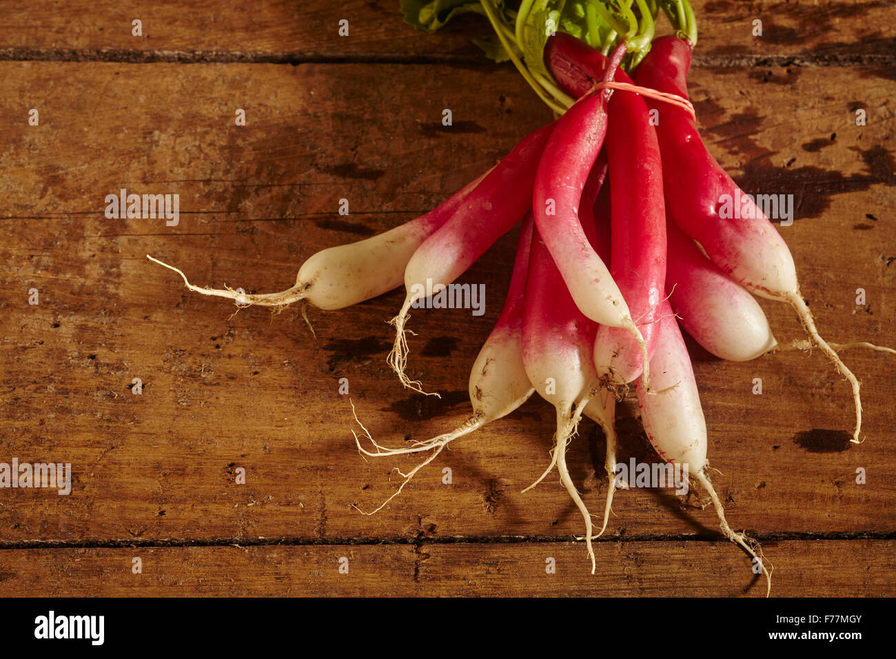 bunch of French Breakfast Radishes Stock Photo - Alamy