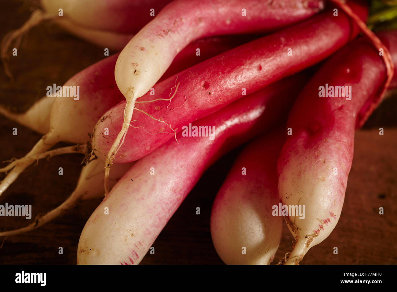 bunch of French Breakfast Radishes Stock Photo - Alamy