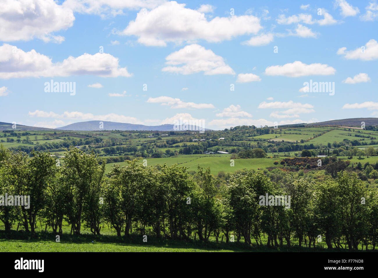 Green fields of ireland hi-res stock photography and images - Alamy