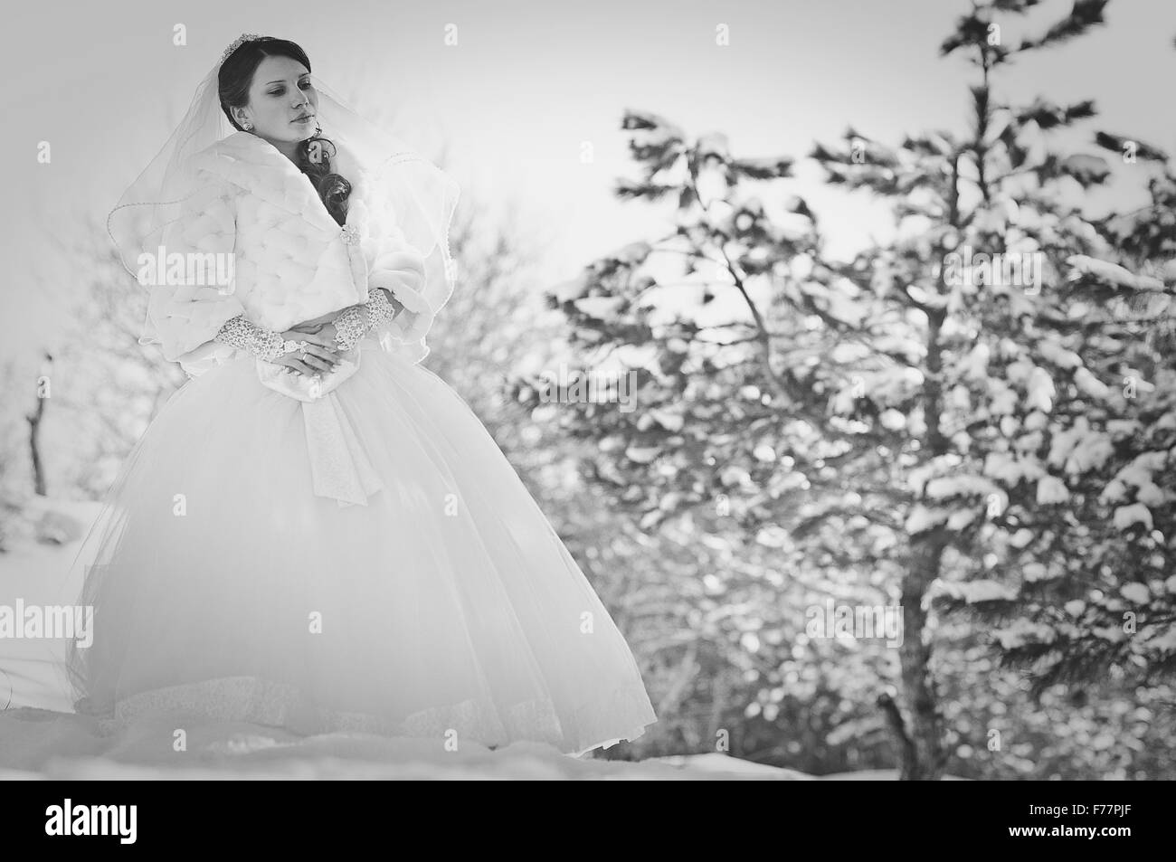 Snow bride Black and White Stock Photos & Images - Alamy