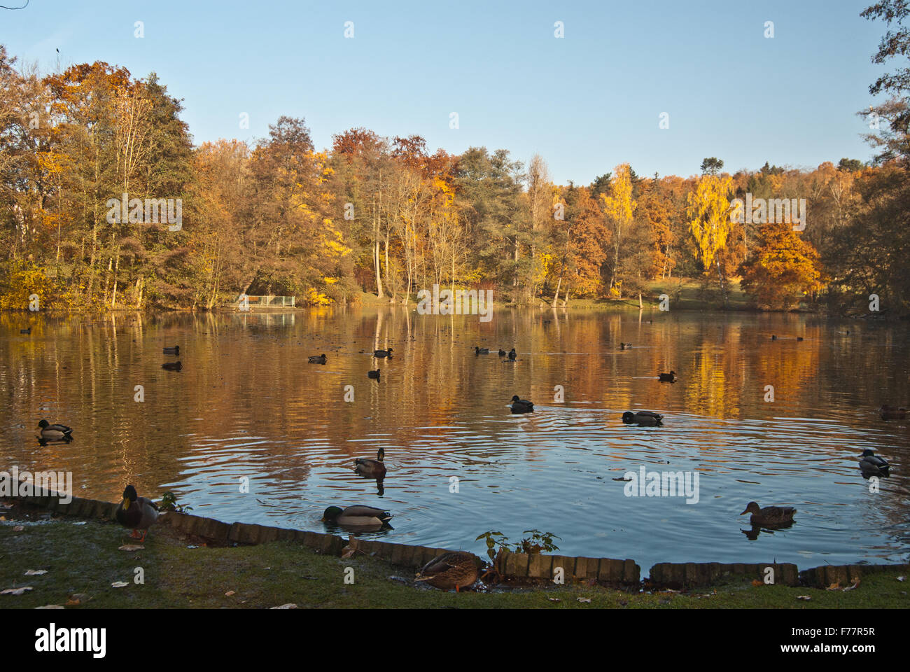 Plauen park hi-res stock photography and images - Alamy