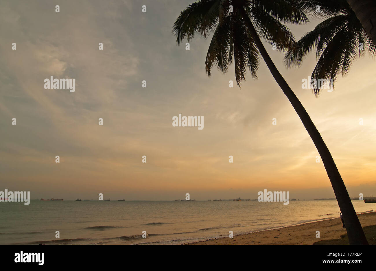 Singapore east coast lagoon hi-res stock photography and images - Alamy